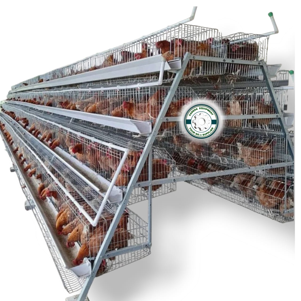 Everything You Need to Know Before Buying A-Type Galvanized Chicken ...